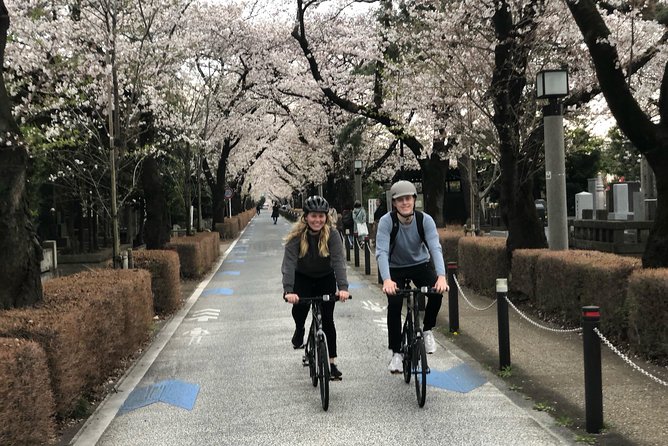 Shibuya Cycling Cruise - Tour Specifications