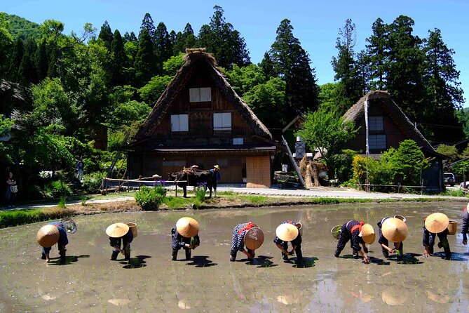Shirakawa-Go From Takayama/Nagoya One Day Bus Ticket - Ticket Information and Pricing