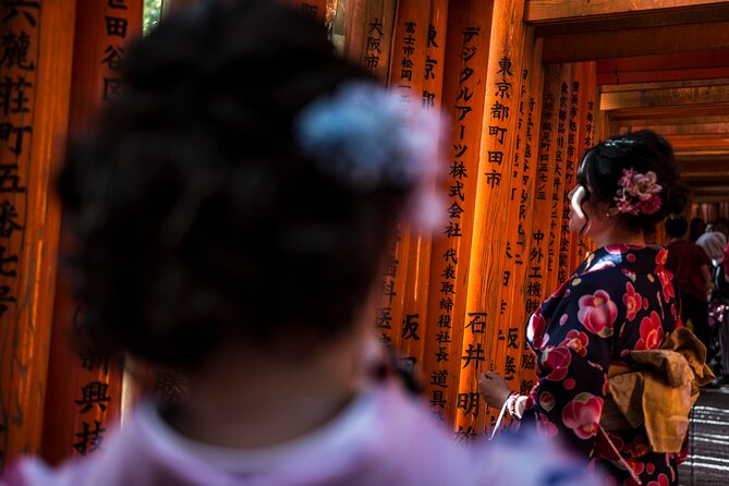 Shore Excursion: Full Day Private Kyoto Tour From Osaka/Kobe Port - Costs and Inclusions