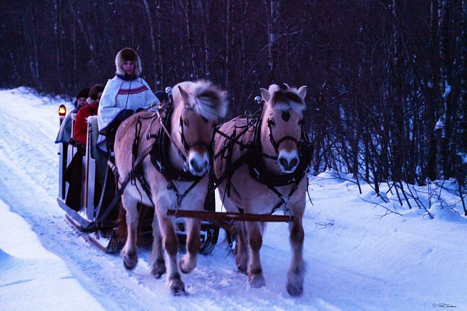 Sleigh Ride W/ Snacks - Experience Arctic Farm Life - Booking Details