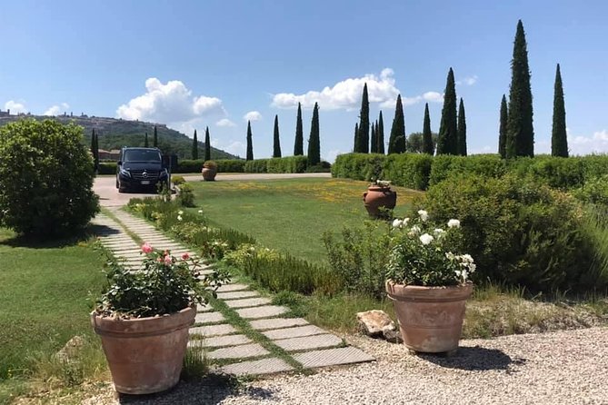 Small Group (7) Chianti-Side Wine Tour With Mercedes V Class Van - Inclusions in the Tour