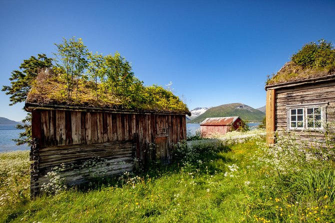 Small-group Arctic Landscapes Sightseeing Review - Whale Island and Wildlife Encounters