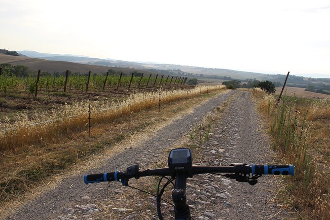 Small Group E-Bike Chianti Tour With Farm Lunch From Siena - Inclusions and Logistics