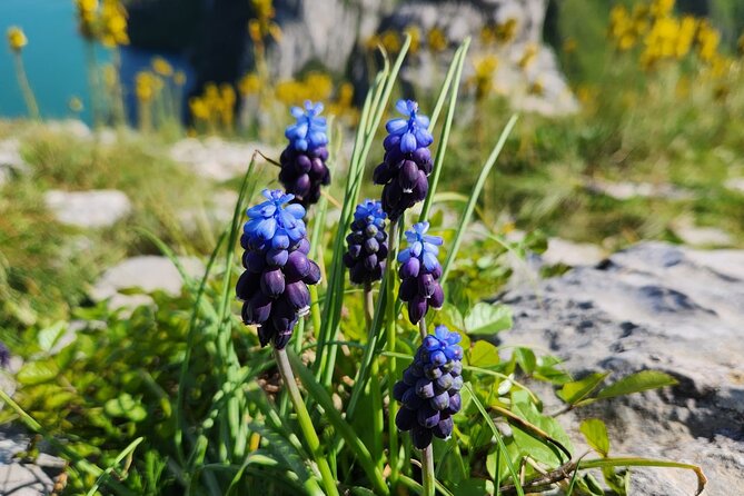 Small Group Hiking Tour; Bovilla Lake &Gamti Mountain From Tirana - Meeting and Pickup Information