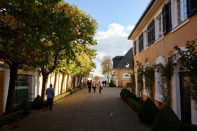 Small Group Rheingau Vineyards Tour Review - Itinerary Highlights