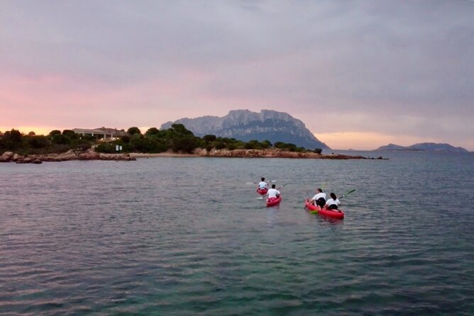 Small Group Sunrise Kayak Tour With Snorkeling and Coffee - What to Expect on Your Snorkeling Adventure