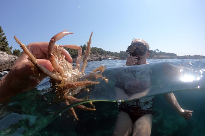 SNORKELING ADVENTURE | Pula Boat - Highlights of the Tour