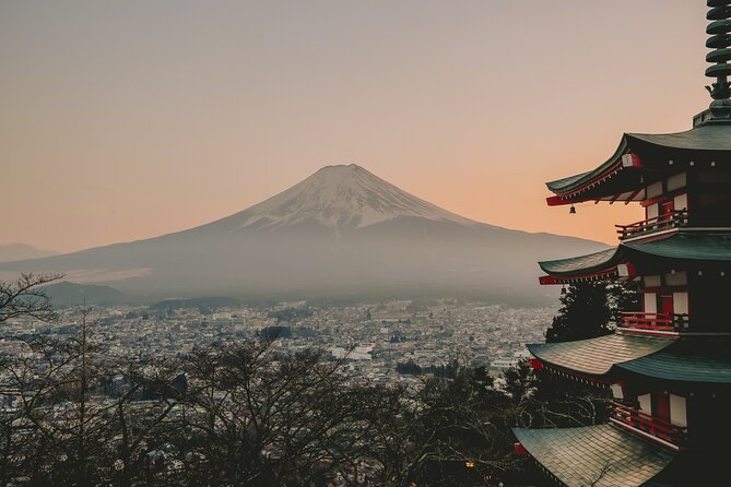 Snow Monkeys From Tokyo: Full-Day Private Trip With Local Guide - Inclusions and Exclusions