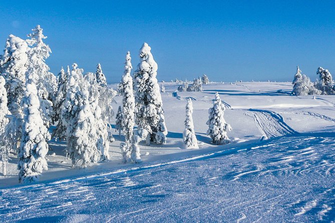 Snowmobile Safari on the Tundra - Meeting and Pickup Details