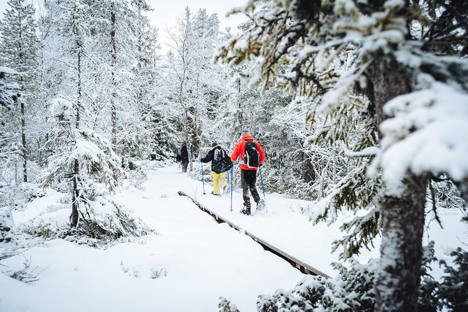Snowshoe Winter Hike From Stockholm - What to Expect During Your Adventure
