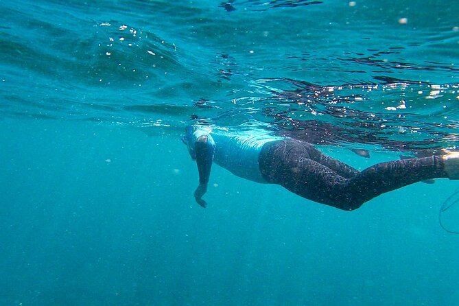 Stand up Paddle and Snorkeling Tour of Gran Canaria With Transfers South Area - Inclusions and Equipment Provided