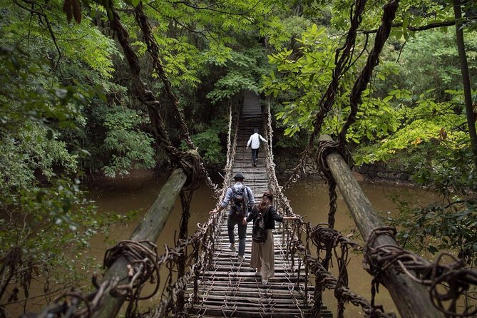 Takamatsu Half-Day Private Tour With Government-Licensed Guide - Tour Details