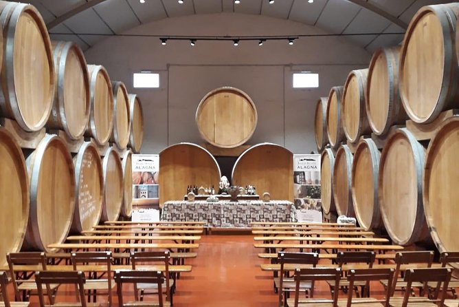 Tasting in the Historic Cellar of Marsala - Tasting in a Historic Cellar