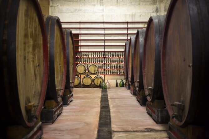 Tasting of Rosso Piceno DOC Superiore - Villa Pigna Winery - The Tasting Menu Explained