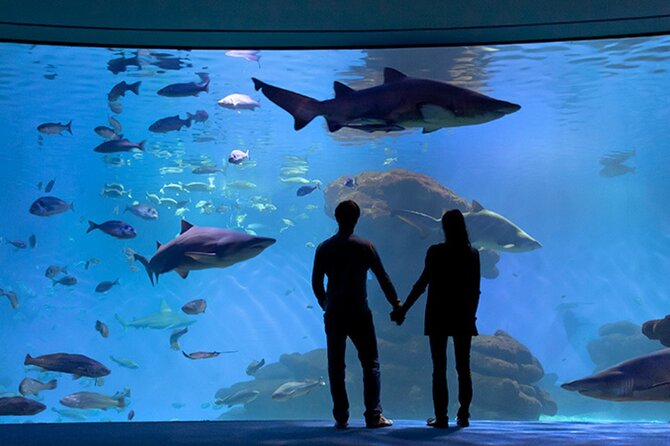 Ticket Palma Aquarium - Ticket Pricing and Capacity