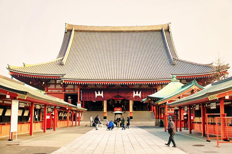 Tokyo: 1-Day Private Customizable Tour by Car - Customization and Itinerary