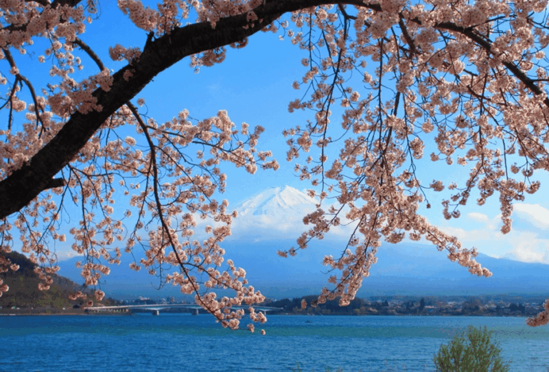Tokyo: 2-Day Customizable Private Tour With Hotel Transfer - Exploring Tokyos Iconic Landmarks