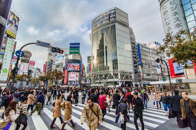 Tokyo 6hr Instagram Highlights Private Tour With Licensed Guide - Pricing and Booking Information
