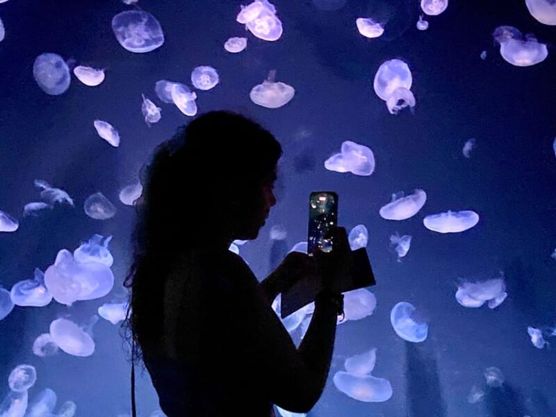 Tokyo : Aquarium Backyard Tour and Tokyo View Observatory - Unique Experiences