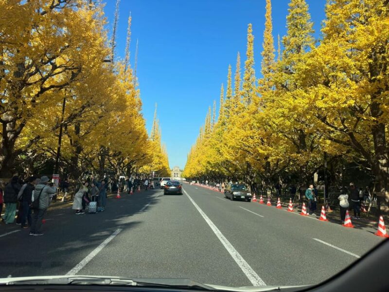 Tokyo City Full Day Private Tour - Itinerary Highlights