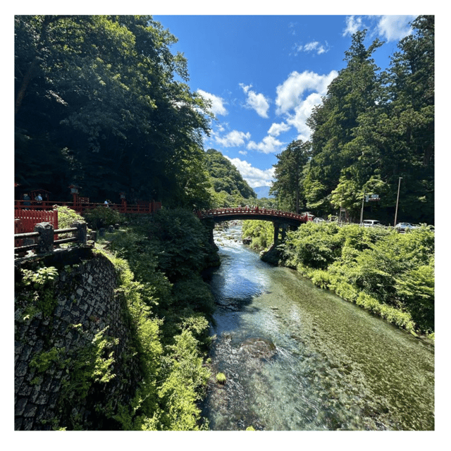 Tokyo: Customised Unmissable Nikko Unesco Private Day Tour - Itinerary Highlights