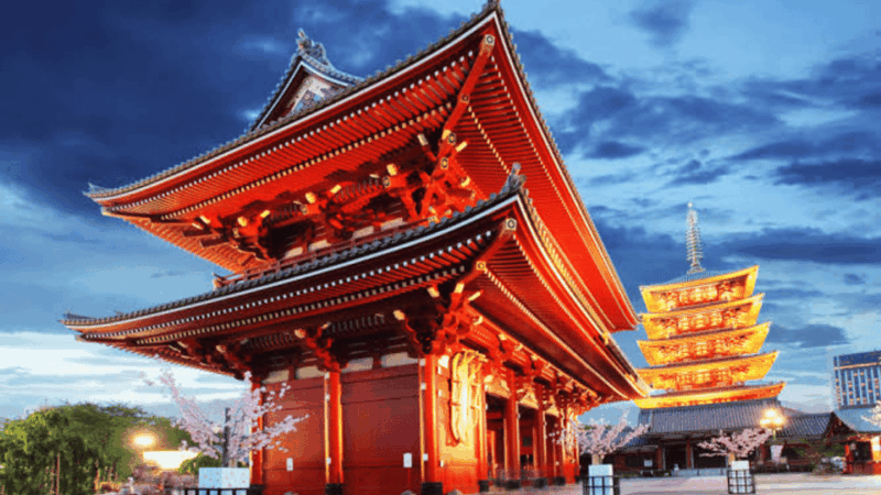 Tokyo: Customized Private Tour With Driver - Pickup and Itinerary Options