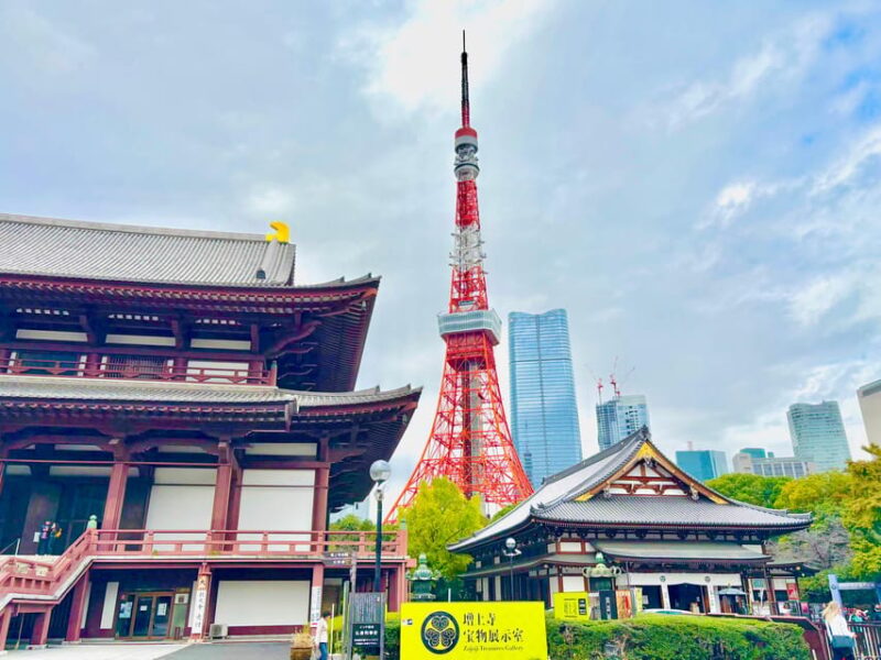 Tokyo Day Trip With Local Guide and Private Car - Pickup and Itinerary Details