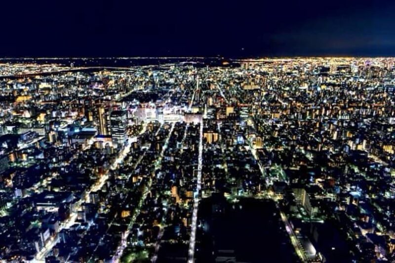 Tokyo Full Day Private Tour With English Speaking Driver - Tour Features