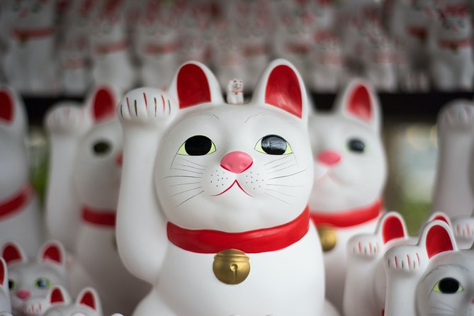 Tokyo Half-day Customized Private Tour - Customization and Flexibility