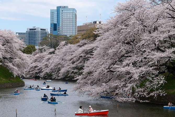 Tokyo Like a Local: Customized Private Tour - Customizing Your Walking Tour
