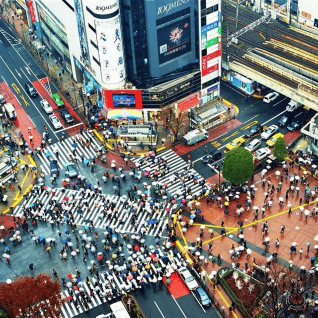 Tokyo: Luxury Tokyo Private City Tour In Luxury Land Cruiser - Itinerary Highlights