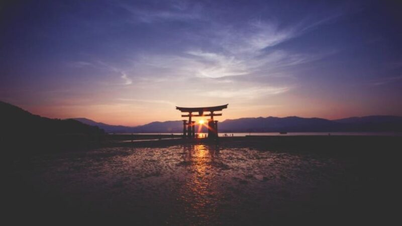 Tokyo Mount Fuji Full Day Customize Private Tour By Alphard - Itinerary Highlights
