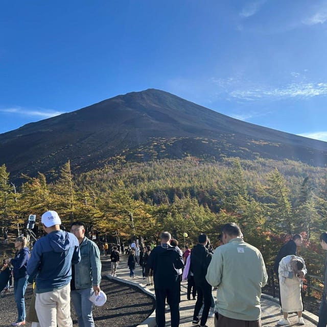 Tokyo: Mount Fuji & Hakone Private Car Day Tour Lowest Price - Customizable Pickup Locations
