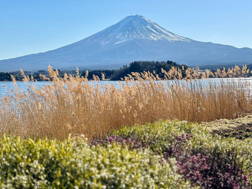 Tokyo: Mount Fuji & Hakone Private Customized Guided Trip - Important Information