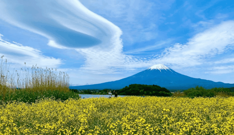Tokyo: Mount Fuji Sightseeing Tour English Speaking Driver - Itinerary Highlights