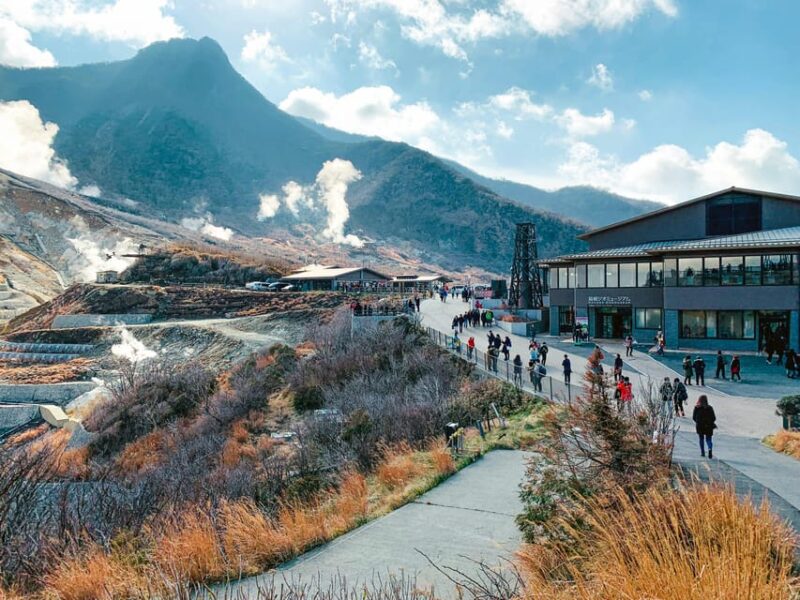 Tokyo: Mt. Fuji and Hakone Day Trip With Lake Ashinoko - Itinerary Highlights