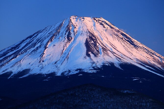 Tokyo: Mt. Fuji, Oshino Hakkai and Gotemba Outlets 1Day Bus Tour - Itinerary Highlights