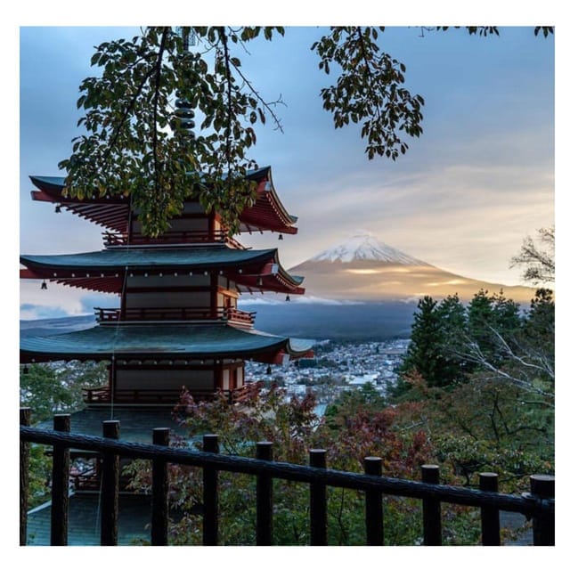 Tokyo: Mt Fuji Prado Private Tour By English-Speaking Driver - Pickup and Accessibility