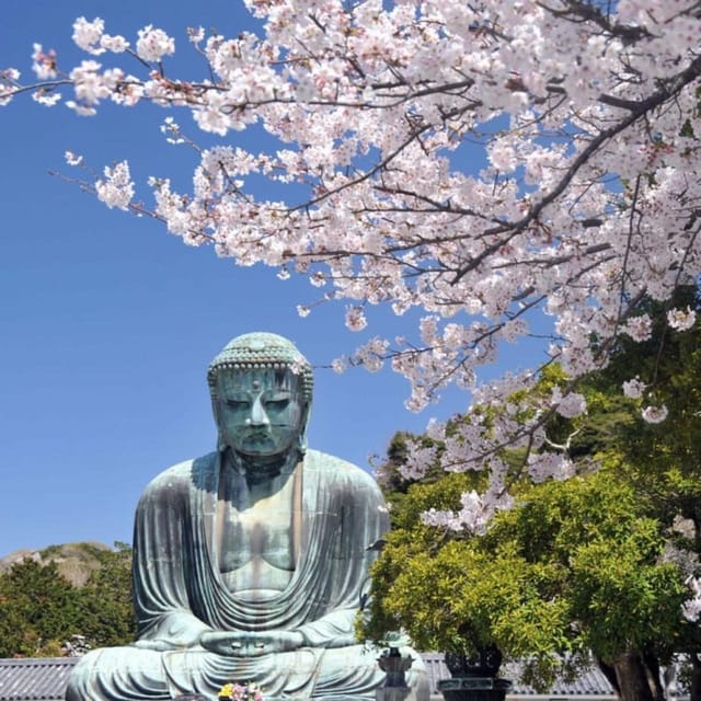 Tokyo Nagano Snow Monkey Park and Zenkoji Temple With Guide - Inclusions