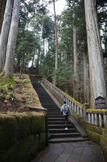 Tokyo: Nikko Private Car Trip With English-Speaking Driver - Itinerary and Destinations