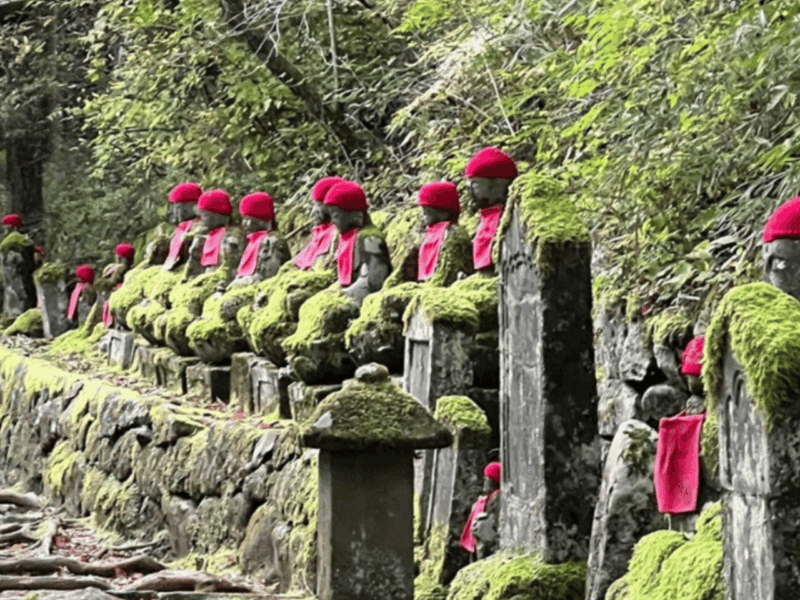Tokyo: Nikko World Heritage Private Day Trip With Pickup - Important Information
