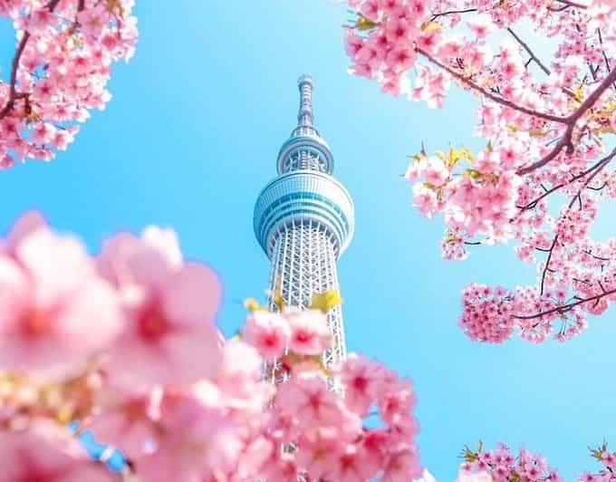 Tokyo Private Customizable Day Tour With a Guide - Itinerary Highlights