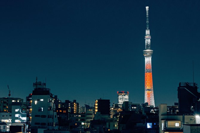 Tokyo Private Customizable Half Day Tour - Inclusions and Logistics