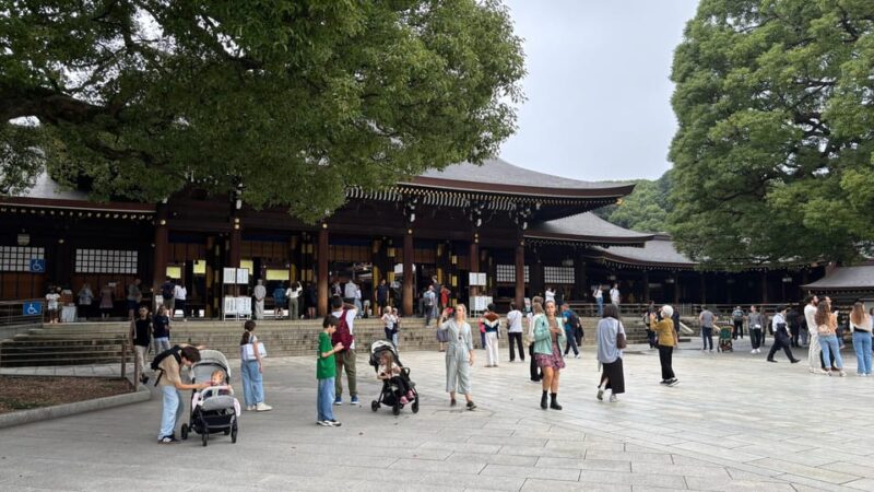 Tokyo: Private Customizable Tour With a Local Guide - Exploring Tokyo With a Private Guide