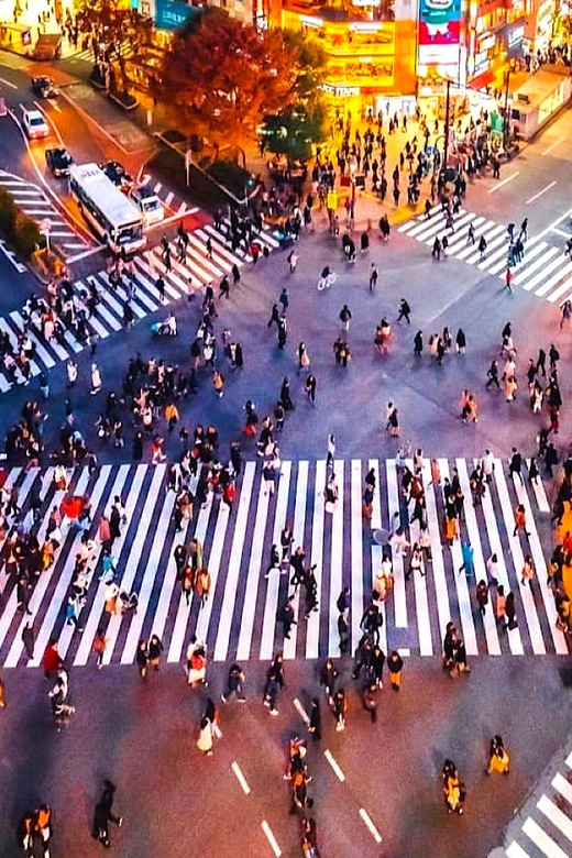 Tokyo Private Customizable Tour With a Local Guide - Itinerary Highlights