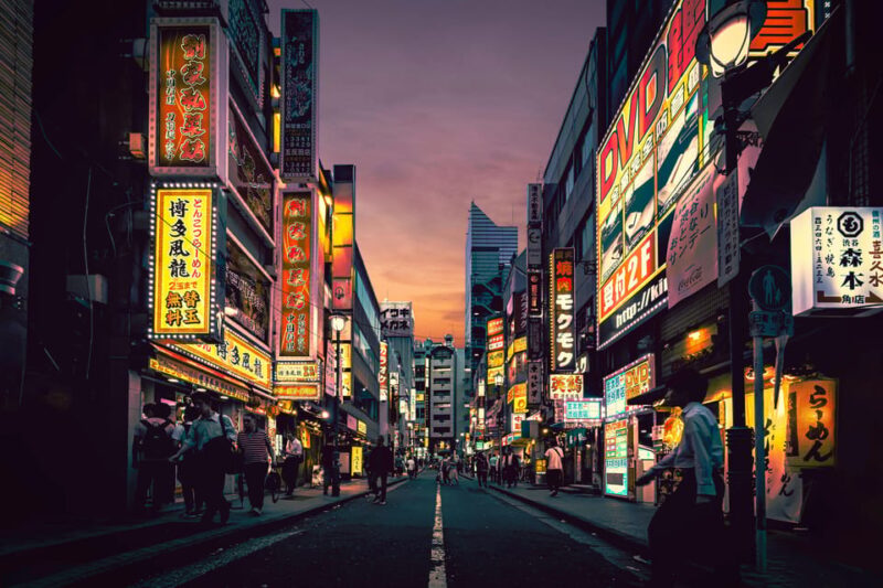 Tokyo Private Sightseeing Tour by English Speaking Chauffeur - Itinerary and Highlights