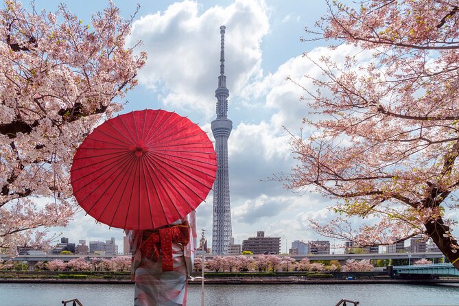 Tokyo Private Sightseeing Tour With English Speaking Chauffeur - Pickup Information