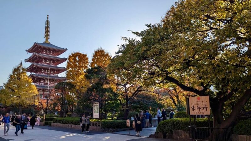 Tokyo: Private Tour of Tokyo in Spanish - Itinerary and Locations