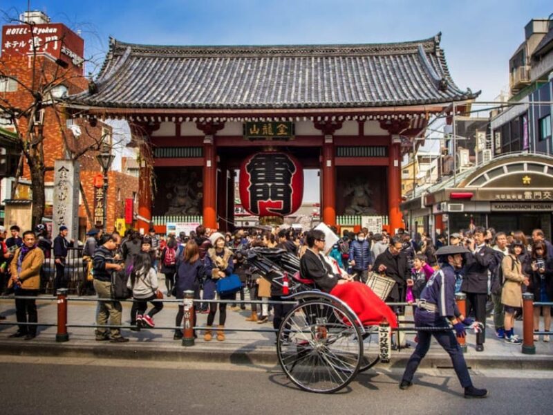 Tokyo Private Tour With English Pro Guide by Luxary Vehivle - Itinerary Highlights