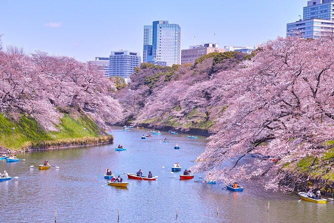 Tokyo Self-Guided Audio Tour - Key Features